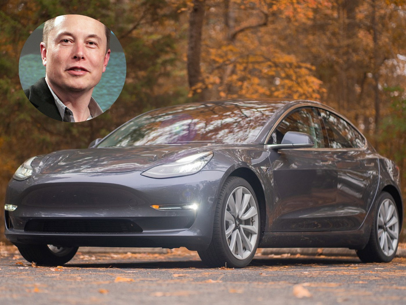 Tesla cai a pique e a concorrência só sabe crescer: dizem os números ...
