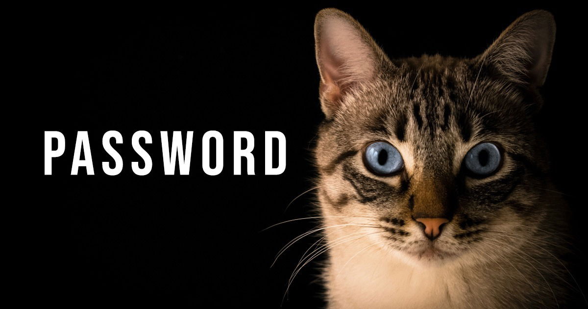 Passwords: uma em cada seis pessoas usa o nome do seu animal de ...